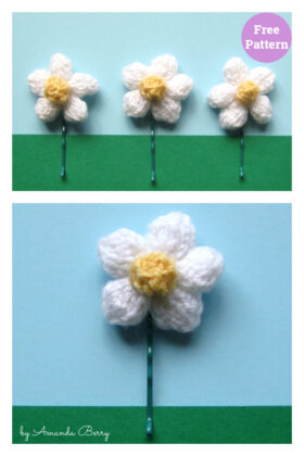 Daisy Flower Free Knitting Pattern