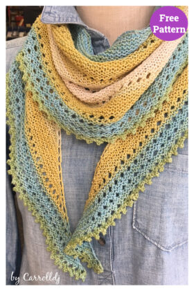 8 Crescent Shaped Shawl Free Knitting Pattern - Page 2 of 2