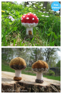 8 Enchanted Mushrooms Free Knitting Pattern