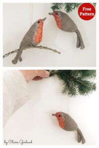Robin Bird Free Knitting Pattern