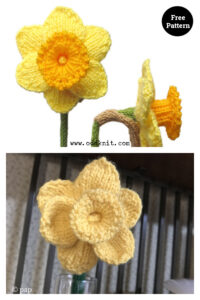 7 Daffodils Flower Knitting Patterns