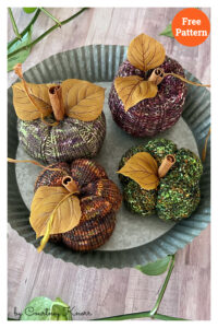 Pumpkin Gourdtet Free Knitting Pattern