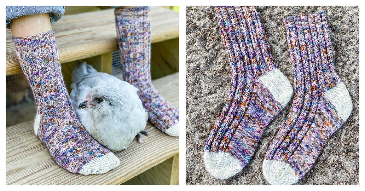 Chicken Scratch Socks Free Knitting Pattern